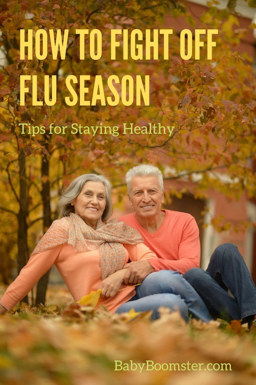 How Seniors Can Fight Off Flu Season